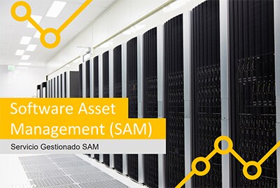 Software asset management (SAM)