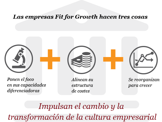 Fit for Growth - Strategy&